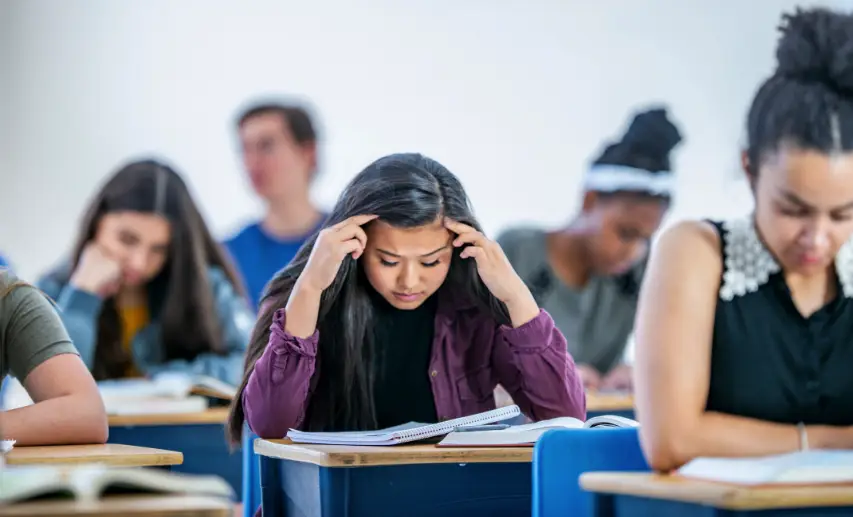 HSC Countdown, HSC mock exams - Pioneer Education