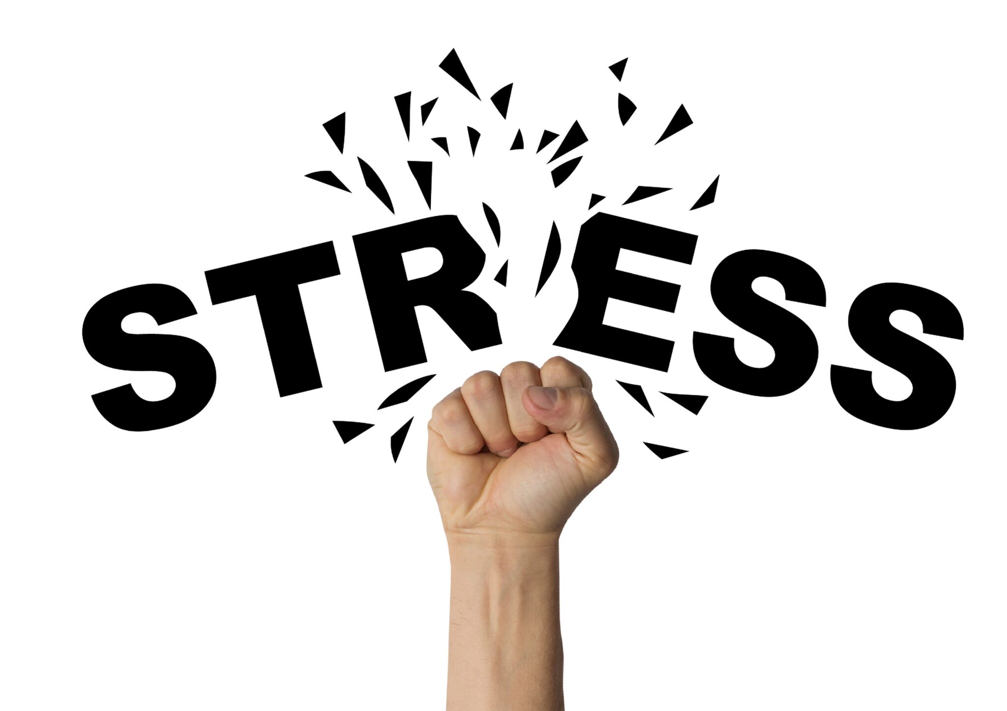 How to Manage HSC Stress: Expert Tips from Pioneer Education